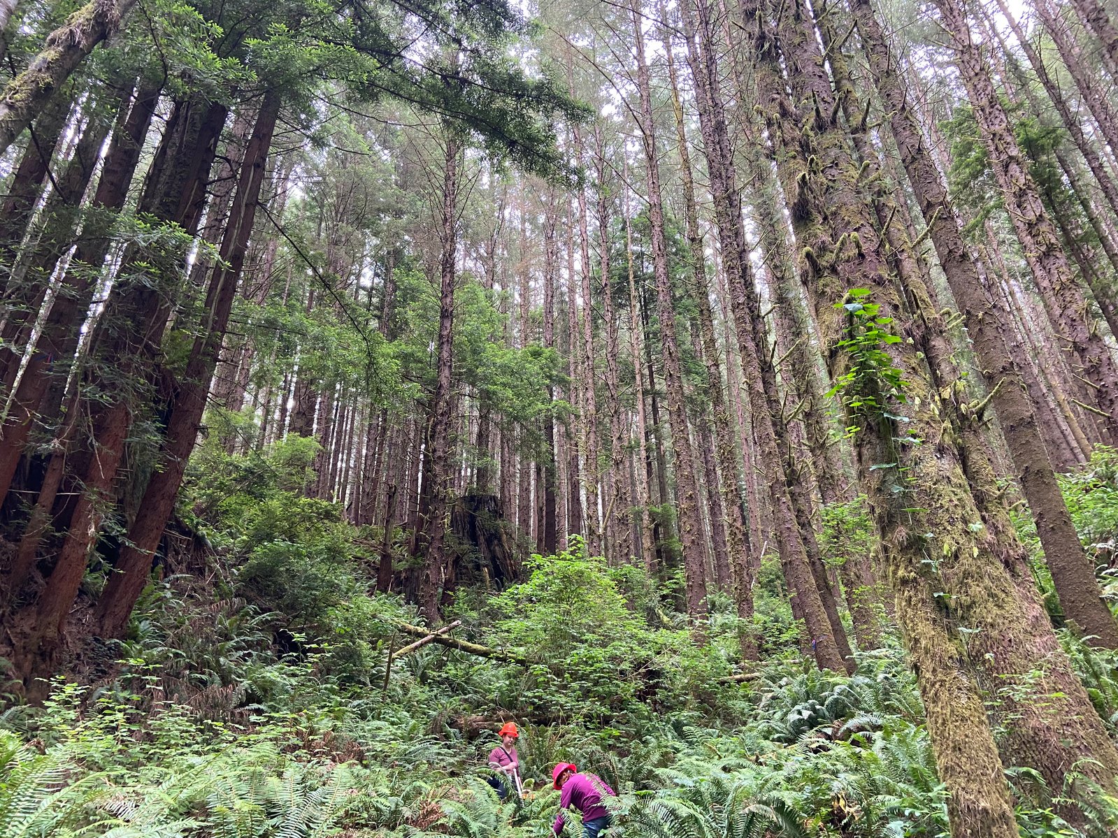 Introducing Our New Climate Action Program Manager!