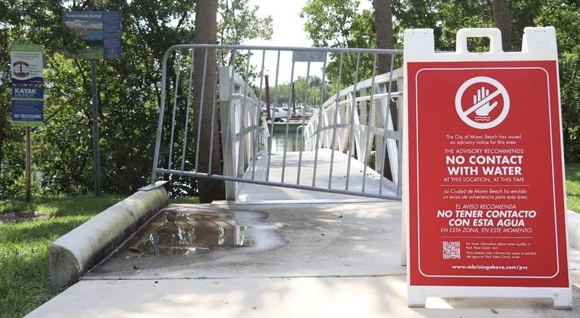 How Does Miami Fight Water Pollution? Learn About the Blue Water Task Force