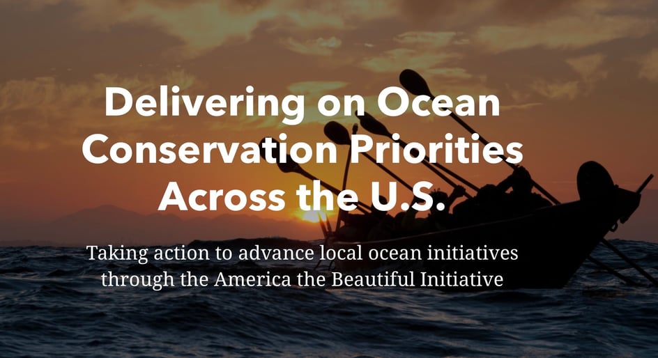 Advancing Ocean Conservation: A Story Map of U.S. Campaigns