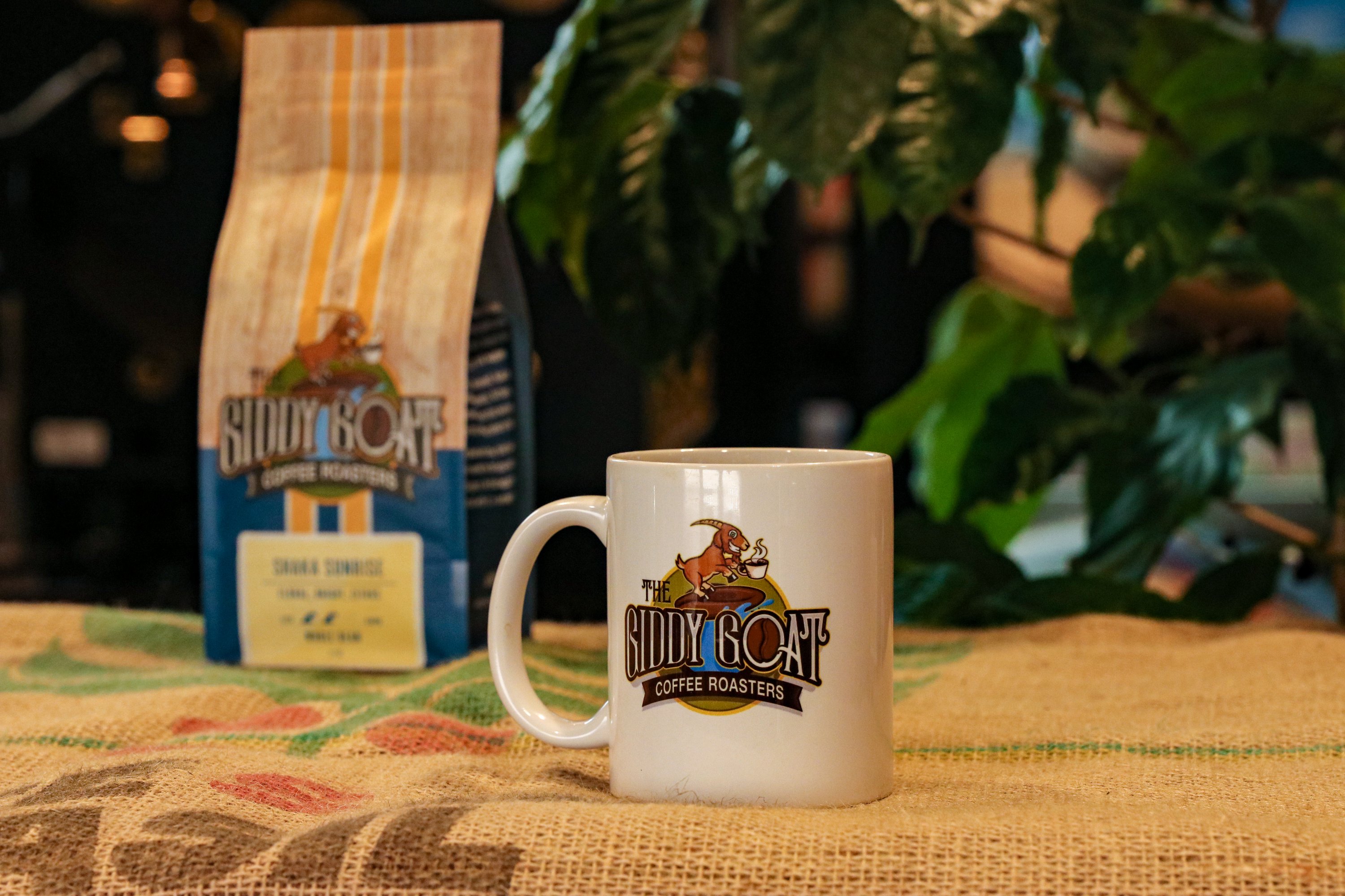 Ocean Friendly Restaurants Spotlight: The Giddy Goat Coffee Roasters