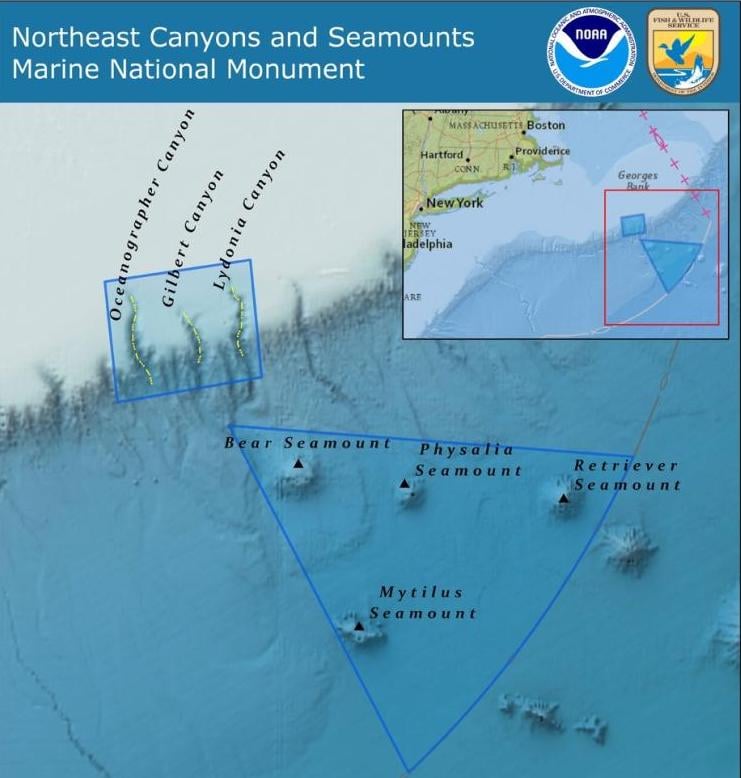 Restoring Protections for Northeast Canyons & Seamounts Marine Monument